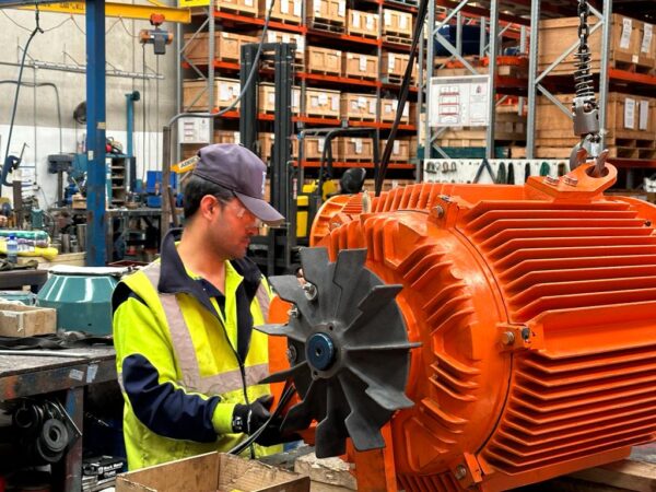 Spare Parts for Critical Operations - TECO Electric Motors Australia ...